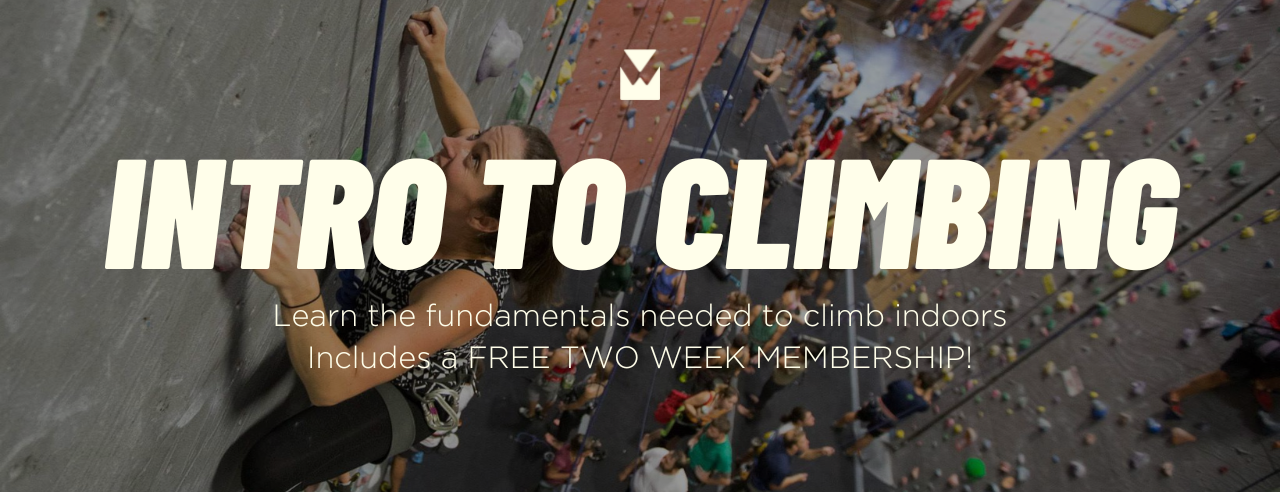 Intro to Climbing | Seattle Vertical World