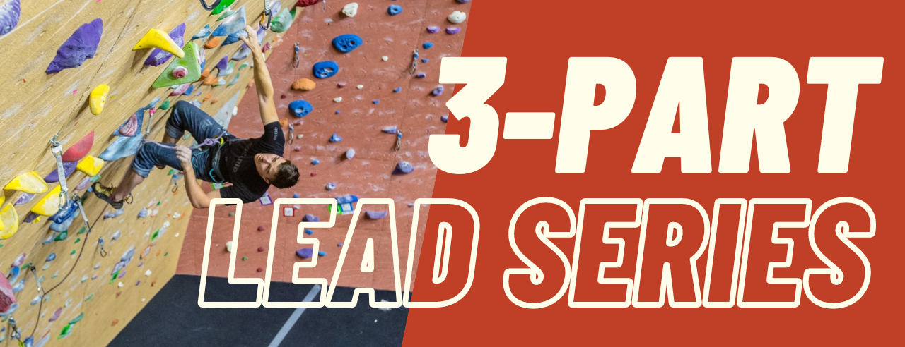 Lead Series | Seattle Vertical World